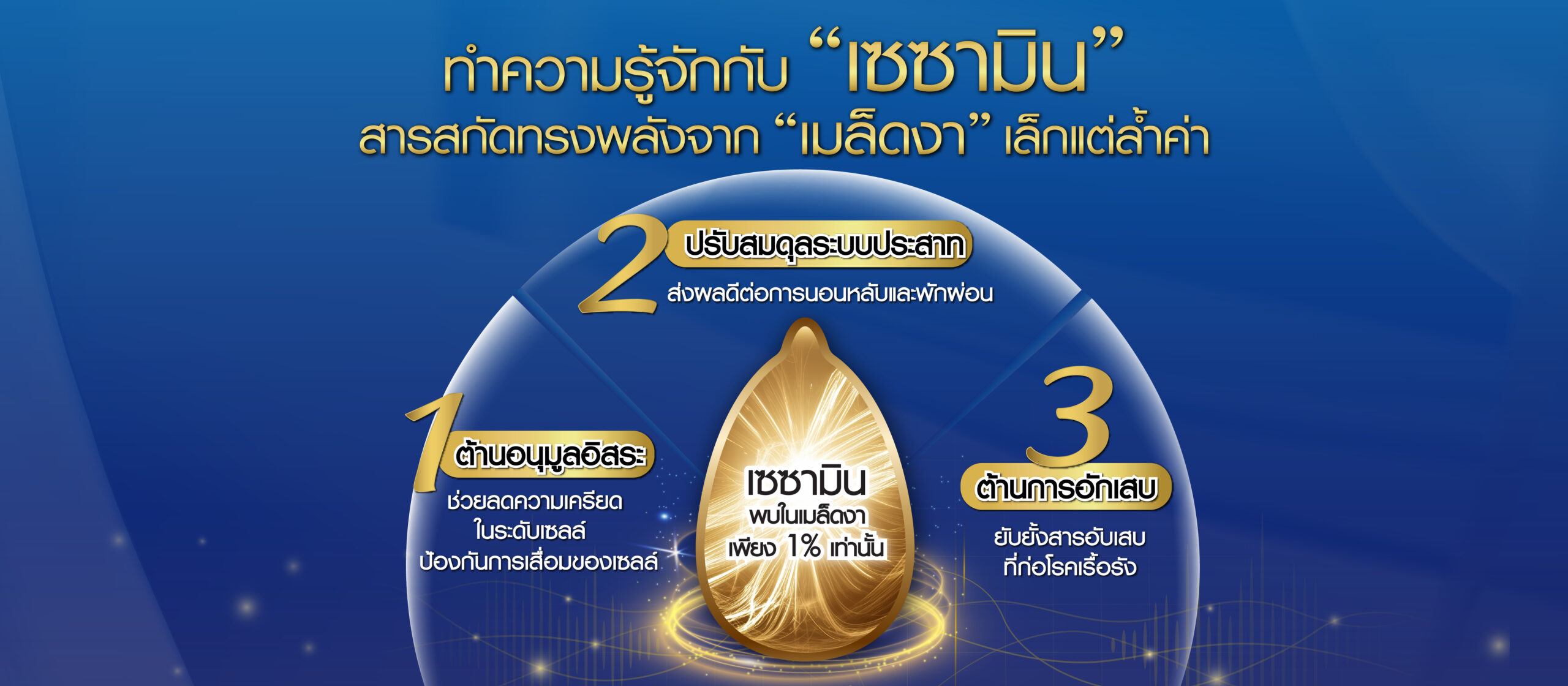 ทำความรู้จักกับ Sesamin สารสกัดที่มีในเมล็ดงา